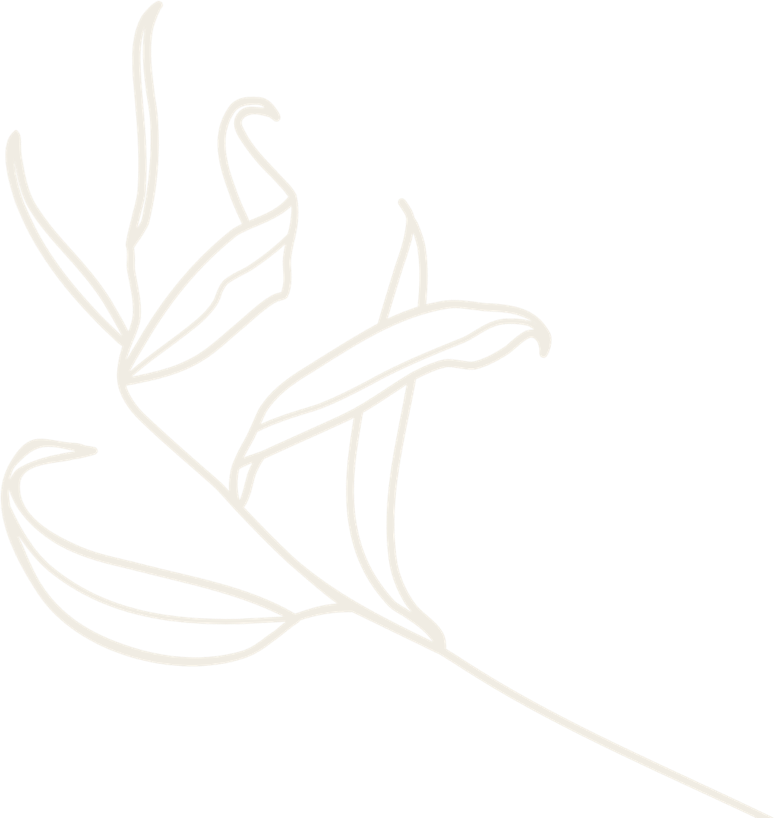 Floorplans | Marlin Spring Developments